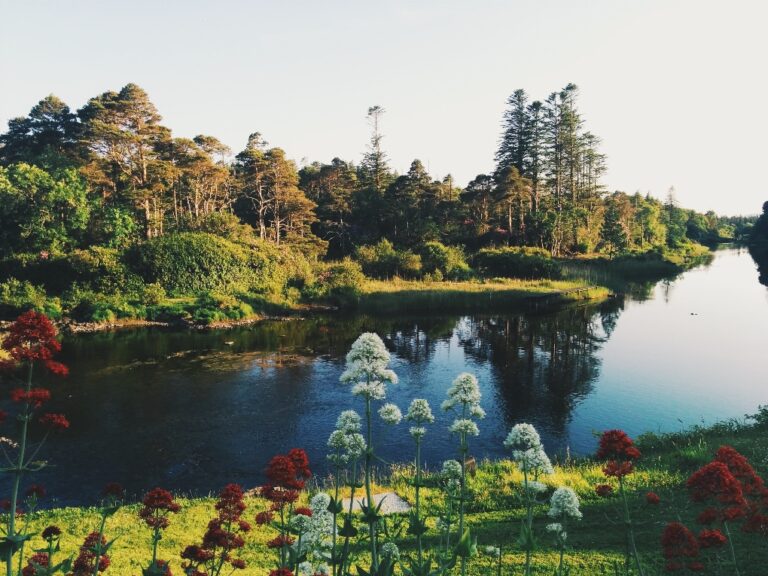 Spring Break in Ireland Top 10 Best Things to Do — Make the Trip Matter