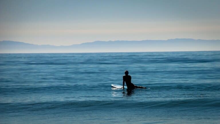 A Guide to Surfing in LA: 21 Excellent Surf Spots — Make the Trip Matter